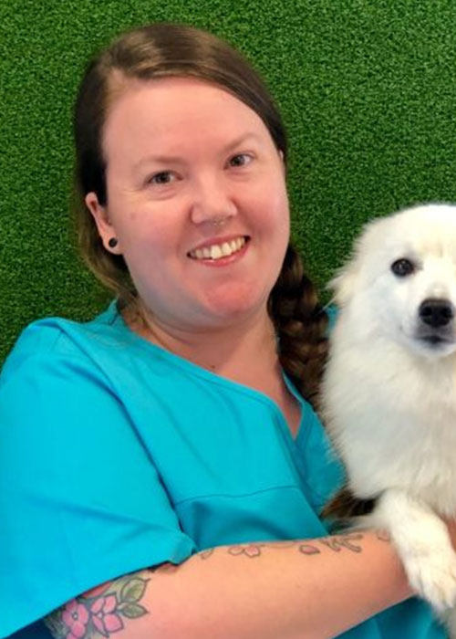 About Us - Marsden Veterinary Surgery